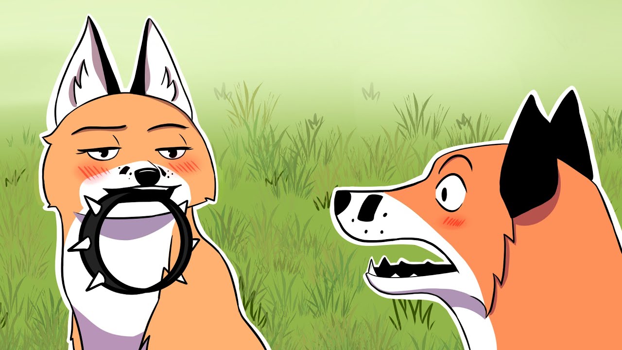 Adorable Animal Comics | Pet Foolery Comic Dub #1 - YouTube