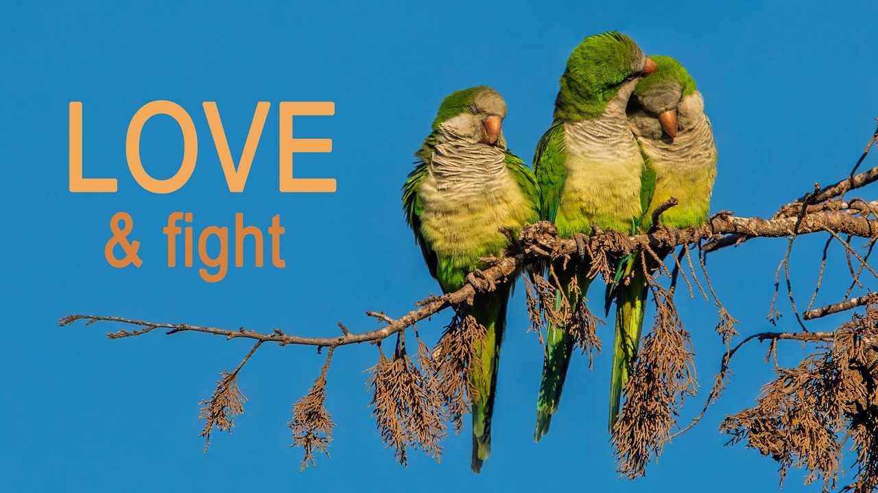 love & fight - YouTube