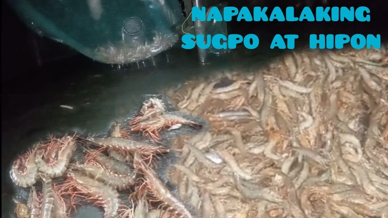 kaya pla di maubos ubos ang laman ng aming baklad dahil ganito ang nang ...