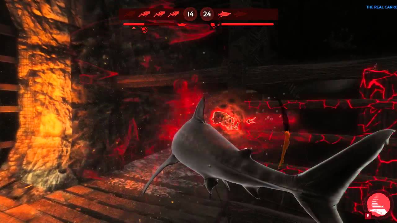 Depth Gameplay - Tiger Shark (Devil's Head) - YouTube