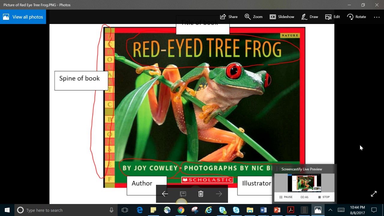 Anchor Chart Red-Eyed Tree Frog - YouTube