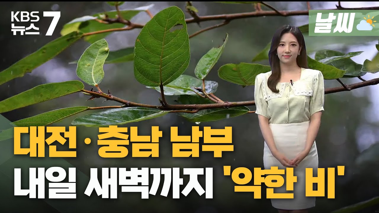 [날씨] '처서' 기온↓…대전·충남 남부 내일 새벽까지 '약한 비' / KBS 뉴스7 대전 세종 충남 - 08월 23일 (화) - YouTube