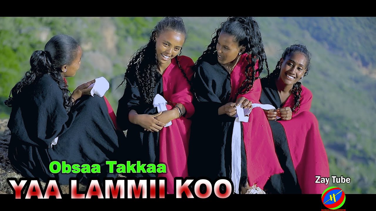Obsaa Takkaa - Yaa lammii koo - New Ethiopian Oromo Music - 2023 official music video. - YouTube