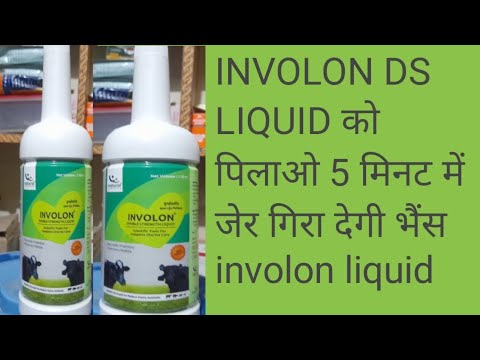 #INVOLON DS LIQUID को पिलाओ 5 मिनट में जेर गिरा देगी भैंस #INVOLON DS ...