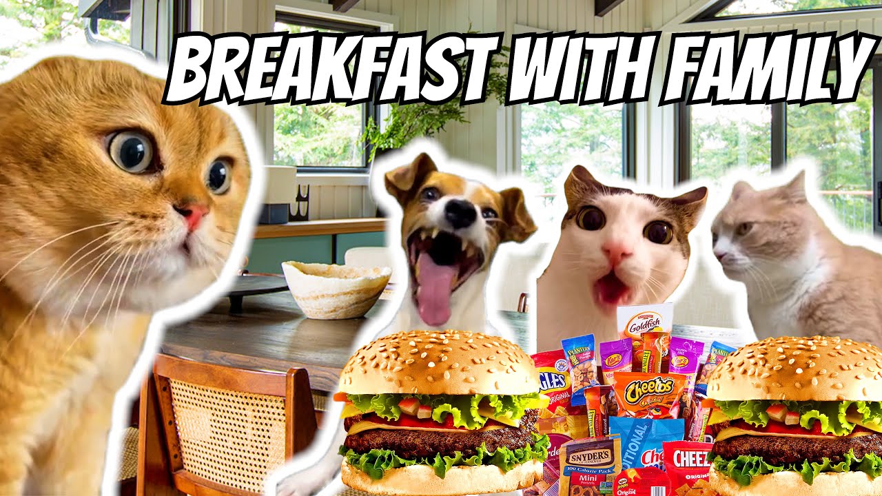 Cats Meme : Breakfast with family. Ep1 - YouTube