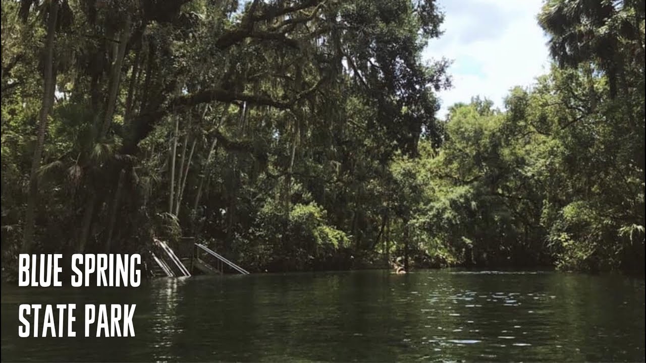 Blue Spring State Park - YouTube