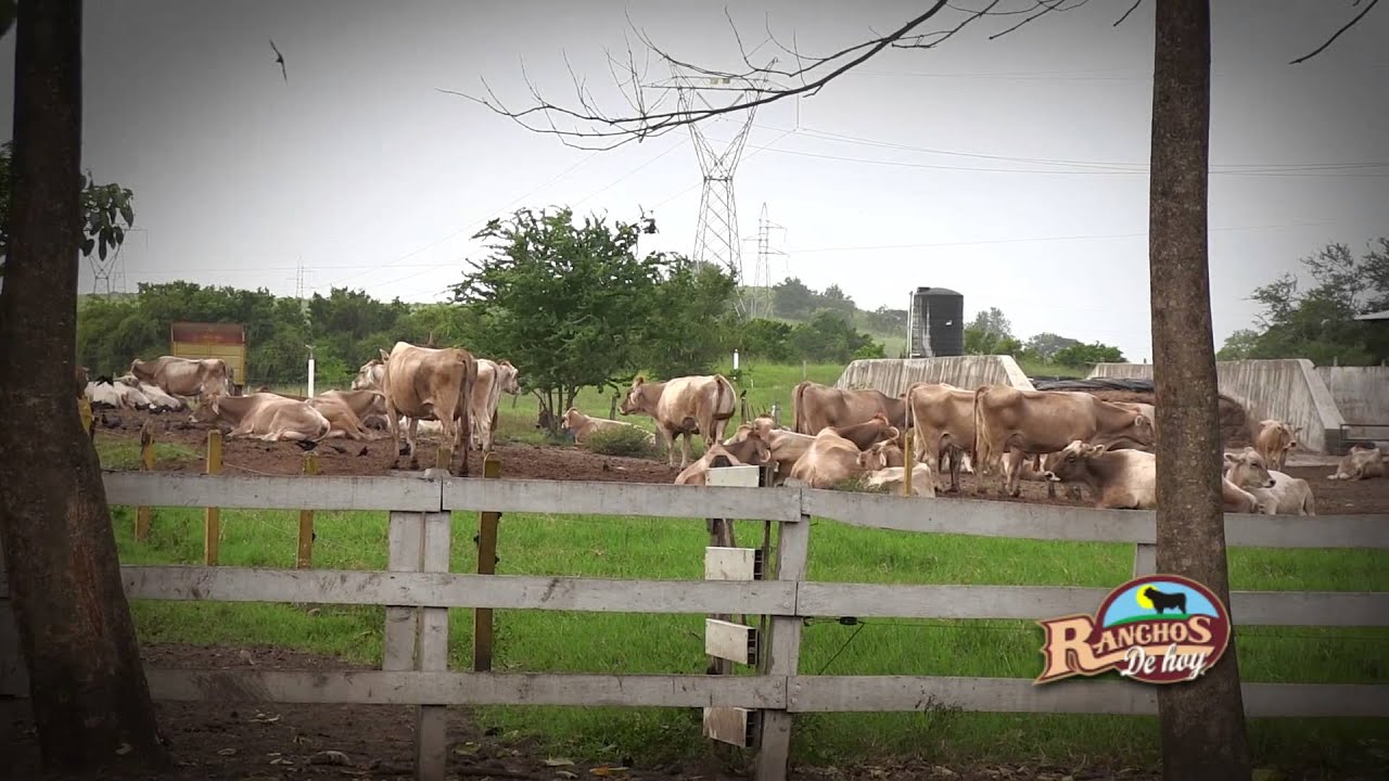 Trailer Rancho Santa Clara - YouTube