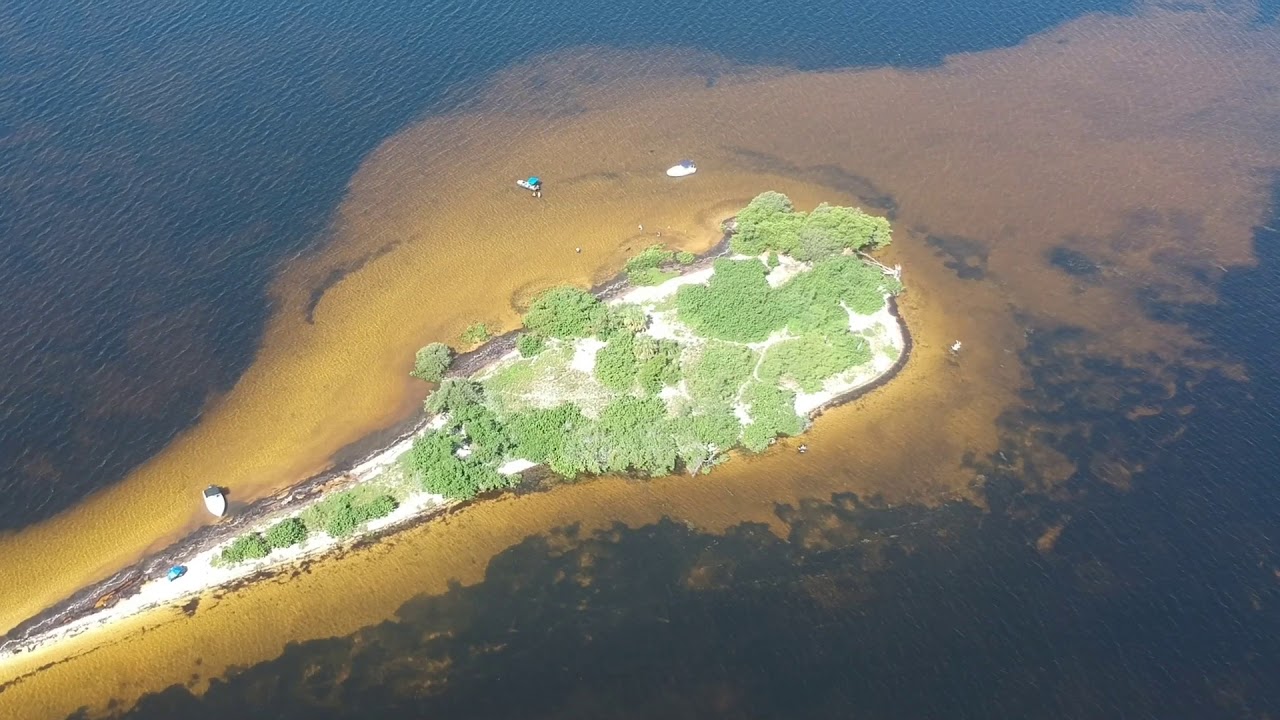 durney key new port richey florida brasher park - YouTube