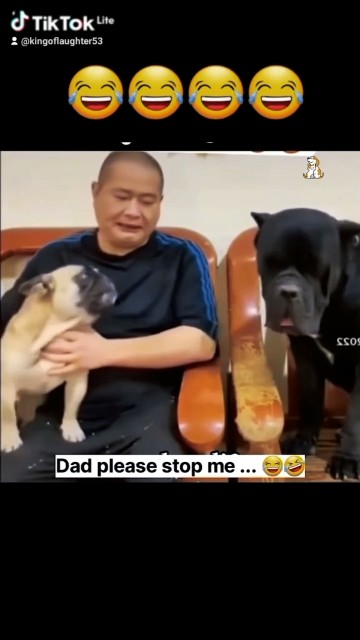 Nowadays DOGS #funny 🐕 #comedy - YouTube