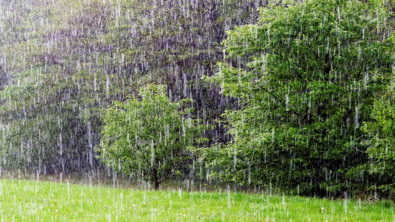 Pure nature rain sounds for relaxation - YouTube