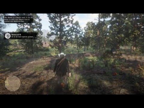 Red Dead Redemption 2 - RDR2 - BAY BOLETE - Herbalist 9 - rare herb ...