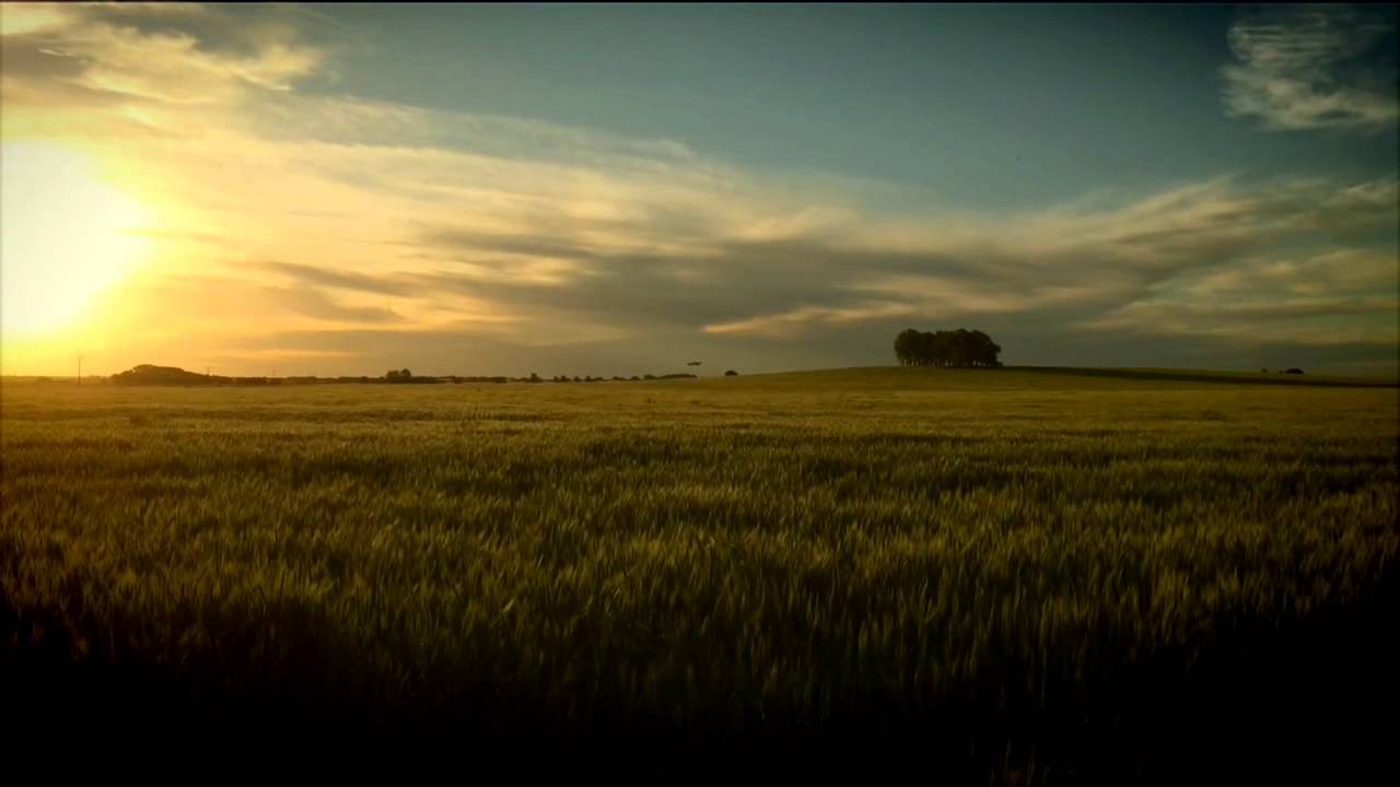 Crop Dusting Pawnee 150 Argentina - YouTube