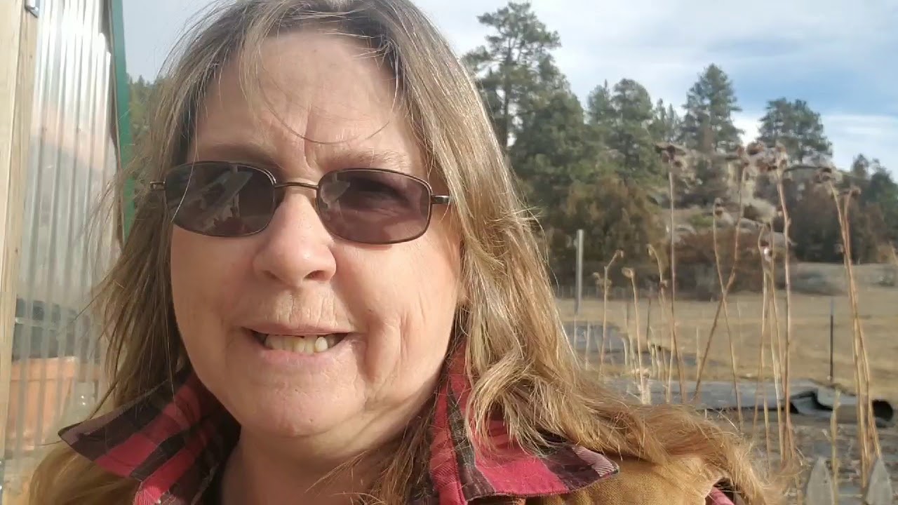 A walk around the homestead.. - YouTube