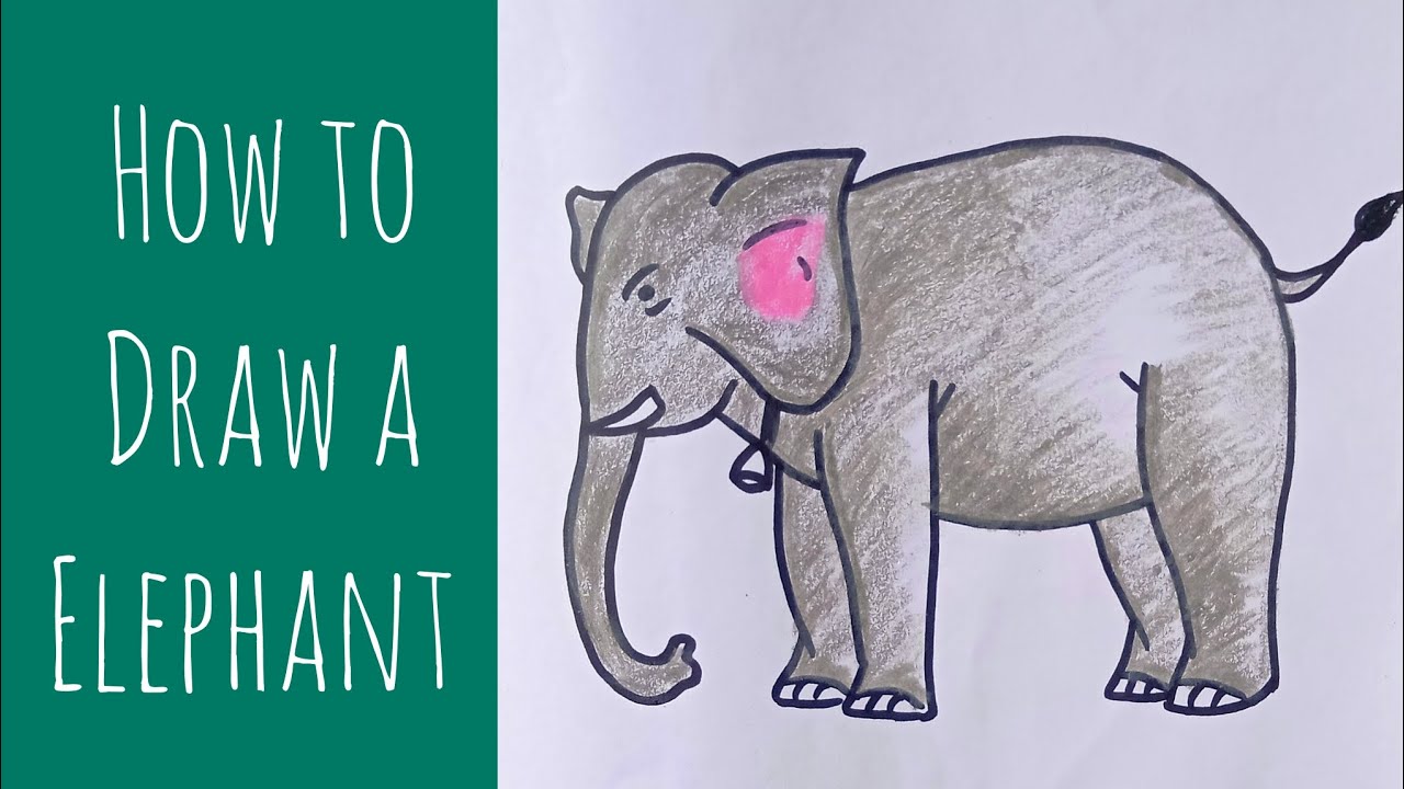 How to draw a Elephant 🐘😍 Easy Elephant drawing step by step|| Elephant ...
