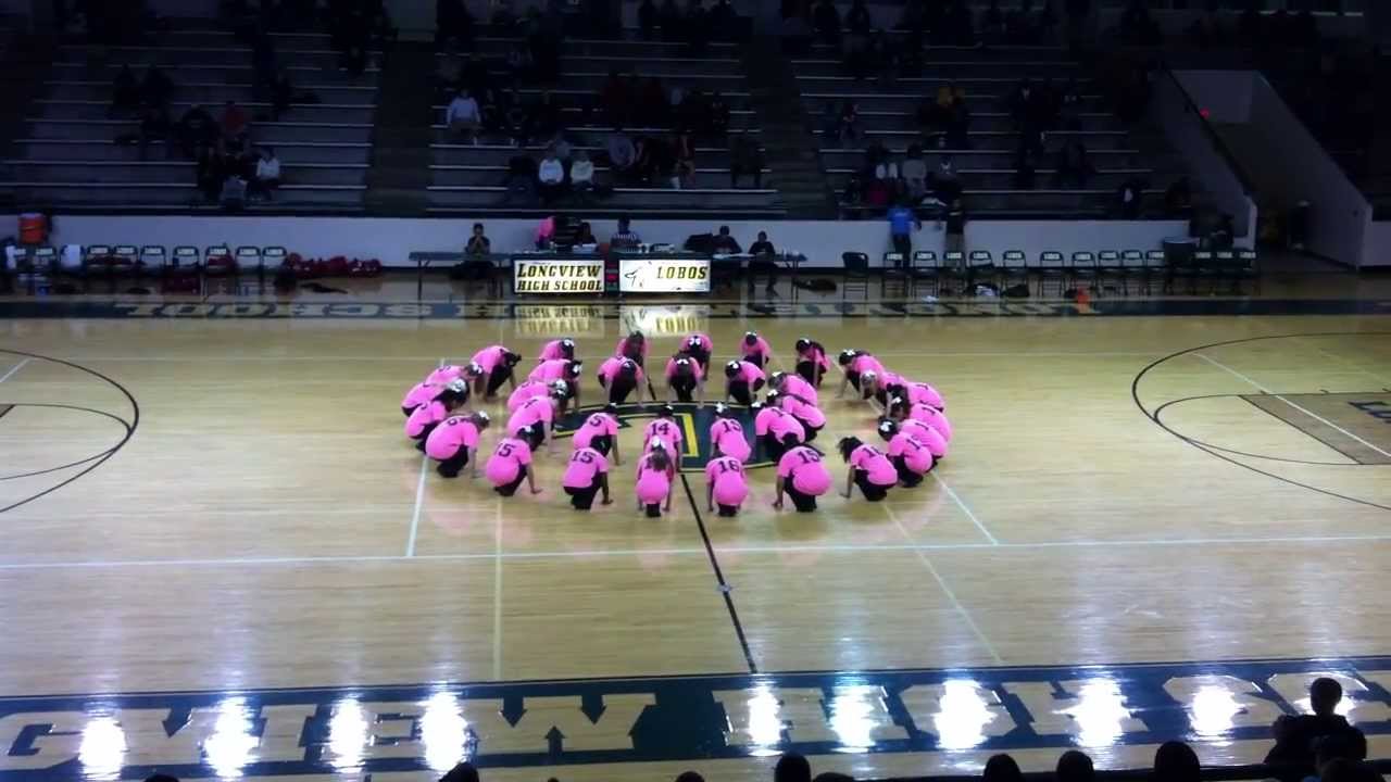 2013-2014 LHS Viewettes - YouTube