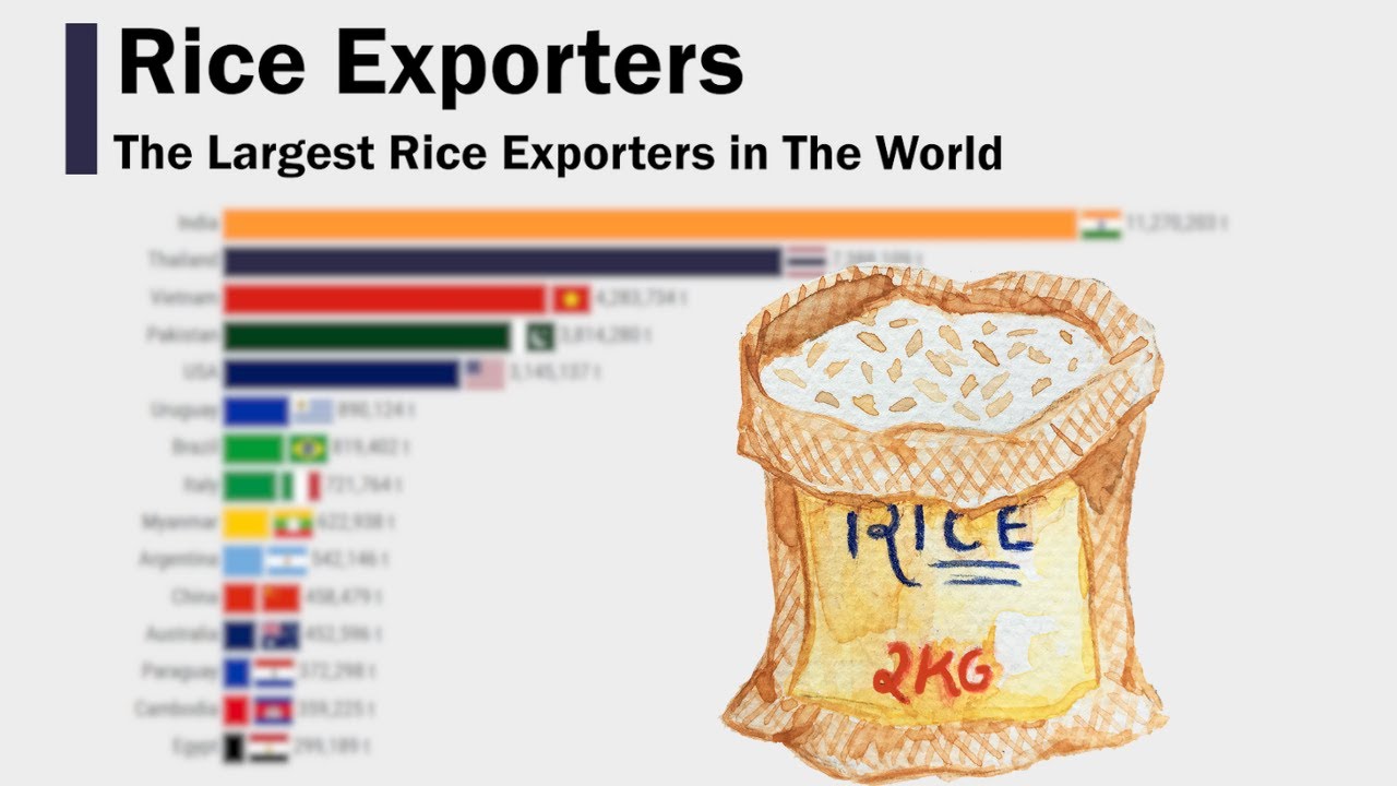 The Largest Rice Exporters in The World - YouTube
