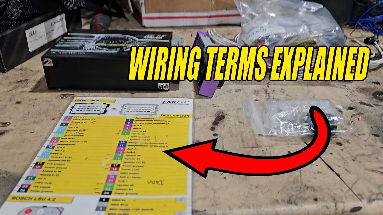 UNIVERSAL WIRING TERM PINOUTS EXPLAINED (haltech, aem, ecumaster, link ...