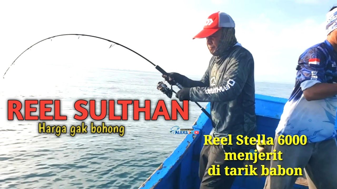 REEL SHIMANO STELLA MENJERIT[]STRIKE BABON SAAT MANCING JIGGING - YouTube