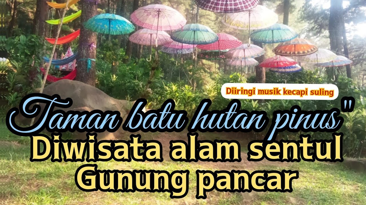 wisata sentul taman batu hutan pinus, gunung pancar sentul bogor ...