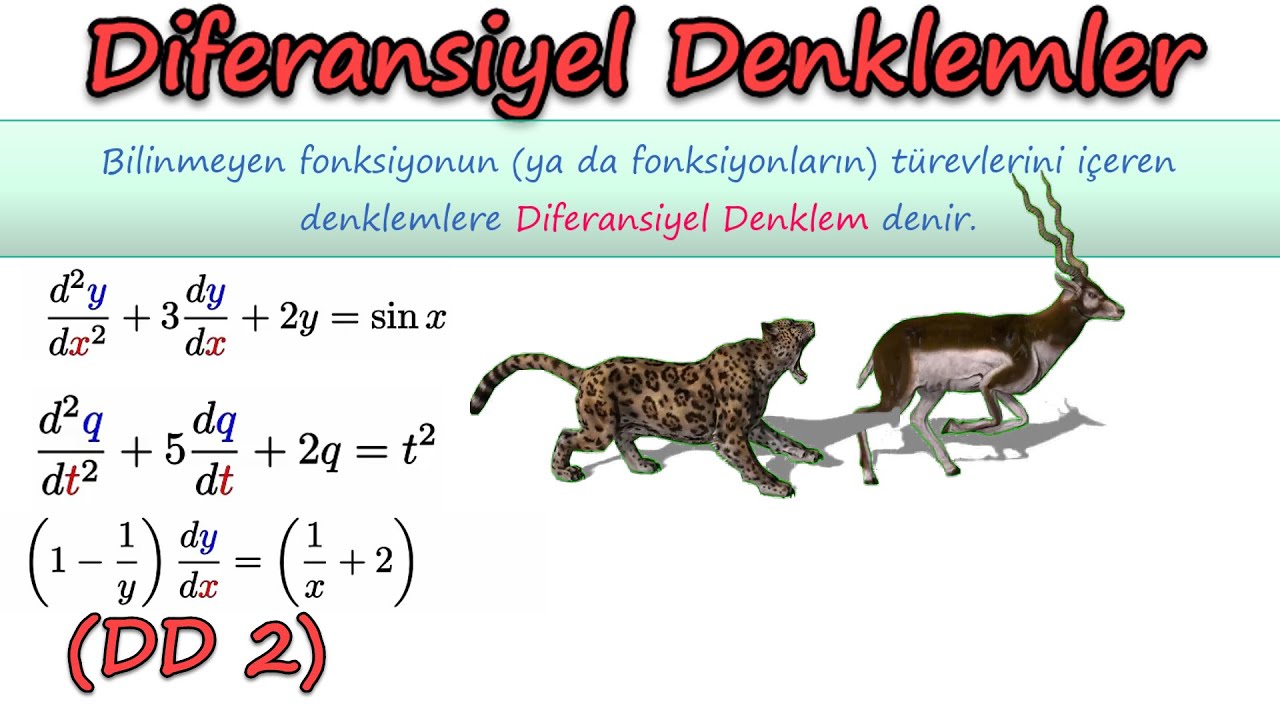 2) Diferansiyel Denklem nedir? Temel Kavramlar: Bağımlı-Bağımsız ...