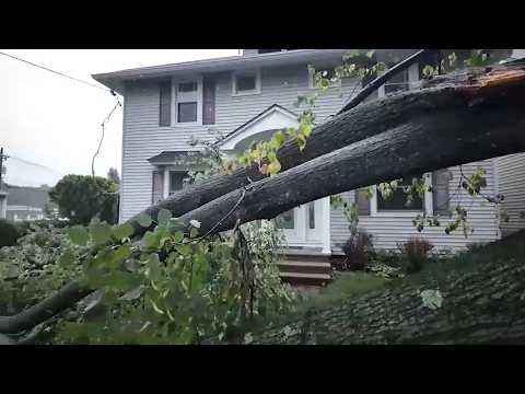Jersey Shore hit by summer storms with flooding, downed trees, power lines