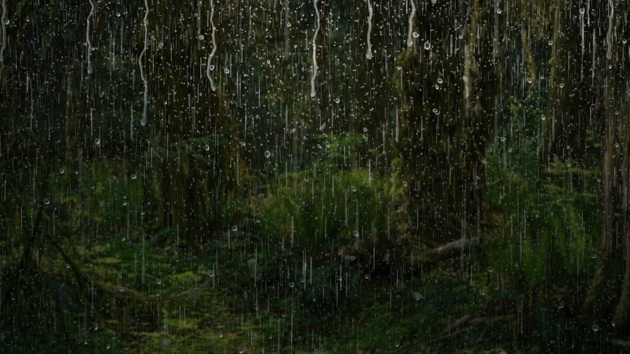 Heavy rain, wind and storms are suitable for relaxation, stress relief ...