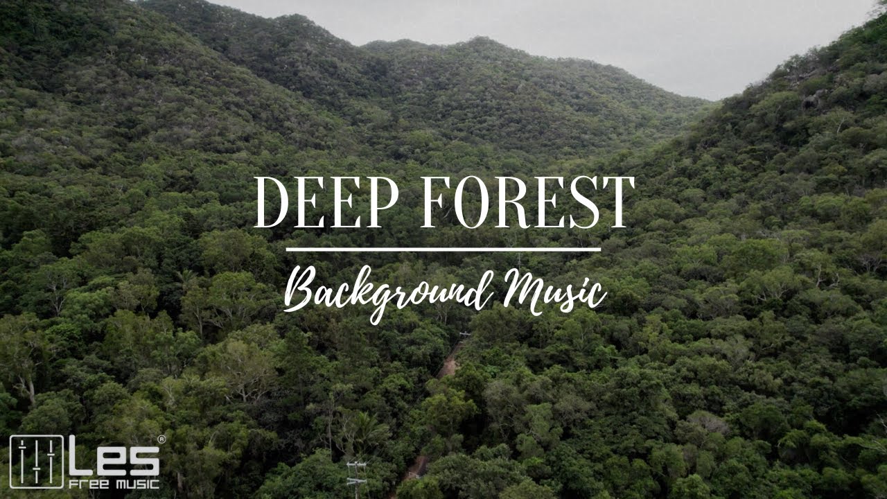 Deep Forest :Ambient Relaxing Romantic Background Music - YouTube