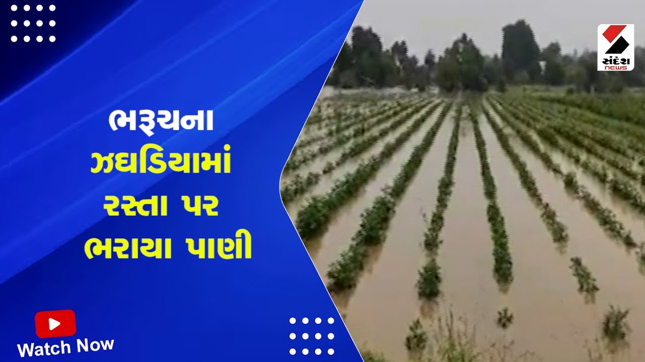 Bharuch Rain | ભરૂચના ઝઘડિયામાં રસ્તા પર ભરાયા પાણી | Gujarat Monsoon ...