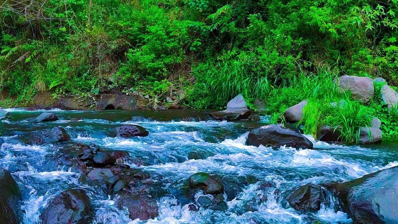 Healing Spa Water Sounds to Help You Relax and Rejuvenate with ...