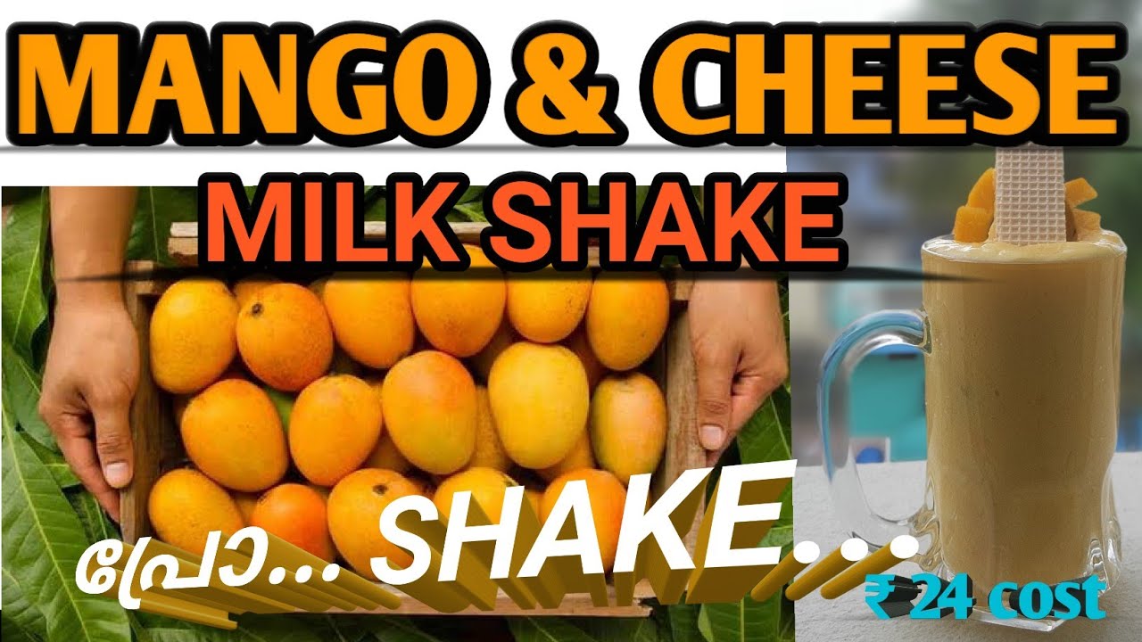 MANGO AND CHEESE MILK SHAKE | PRO MILK SHAKE | മാങ്ങയും ചീസും SHAKE ...