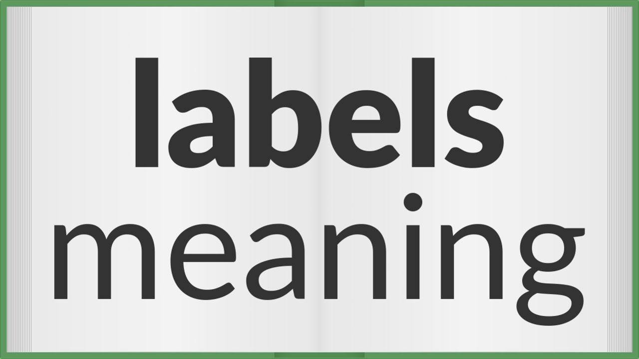 Labels | meaning of Labels - YouTube