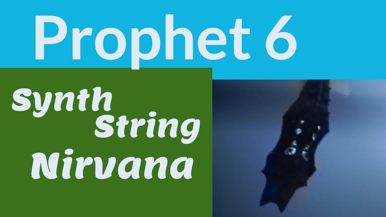 How To: Attaining Synth String Nirvana with the Prophet 6 - YouTube