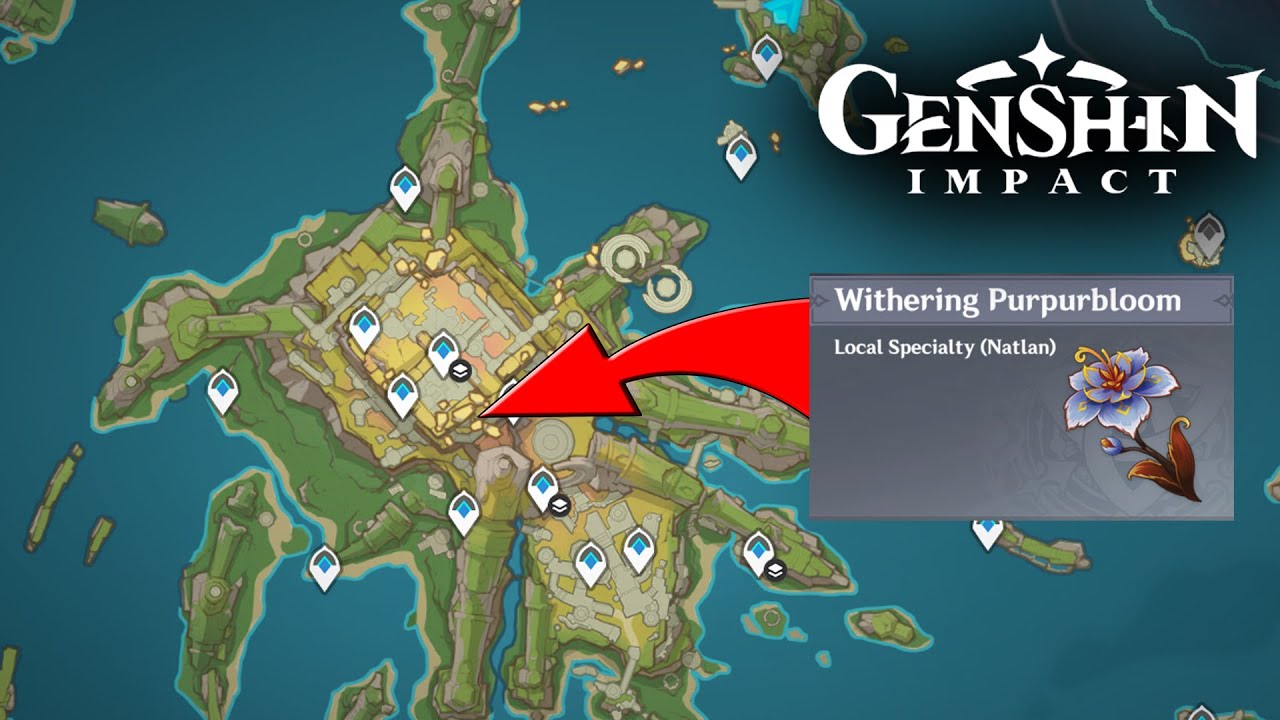 ALL Withering Purpurbloom Location - Chasca Ascension Materials GENSHIN ...