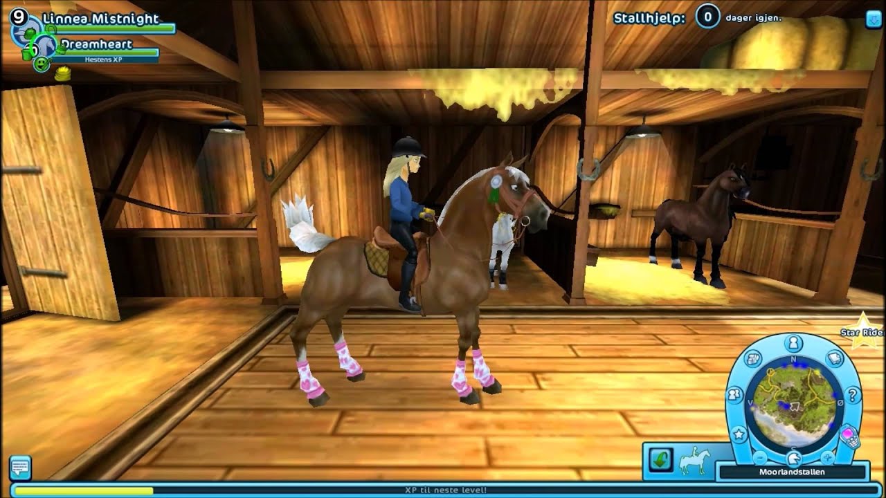 Buy new andalusier sso - YouTube