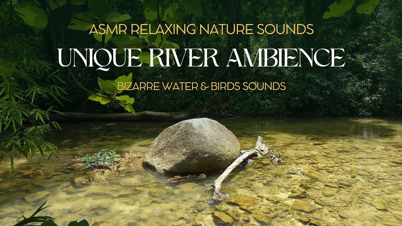 💧🌿 ASMR Relaxing Nature Sounds 🌊 8 Hours Unique River Ambience ☘️ ...