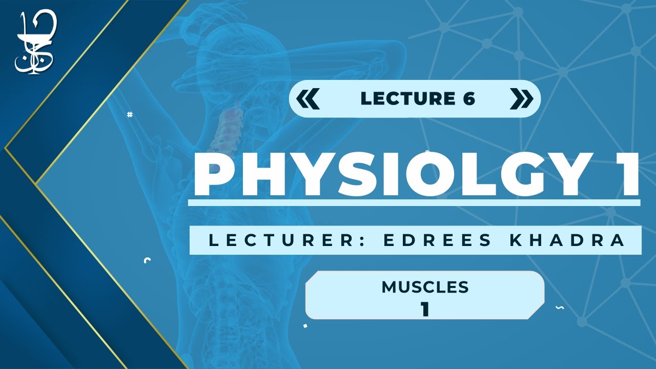 Physiology 1: Muscles (part 1) - YouTube