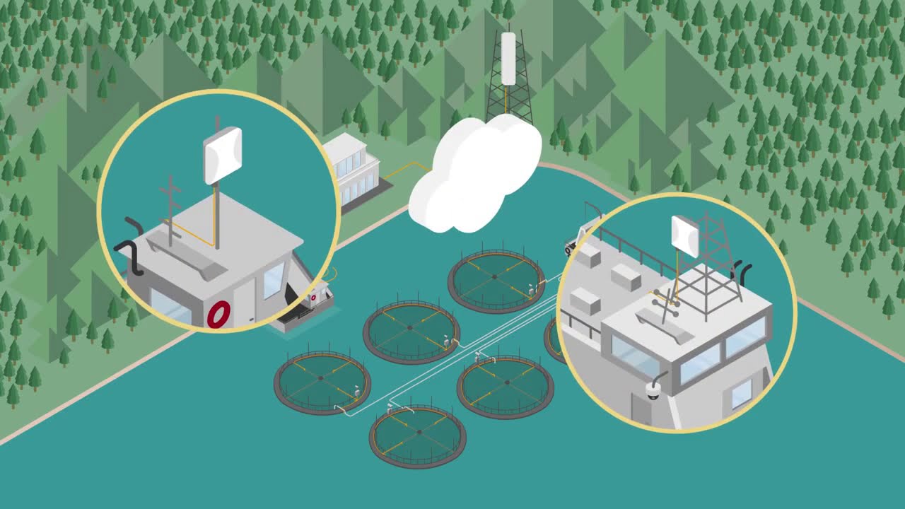 Wireless Solutions for Ocean Fish Farm - YouTube