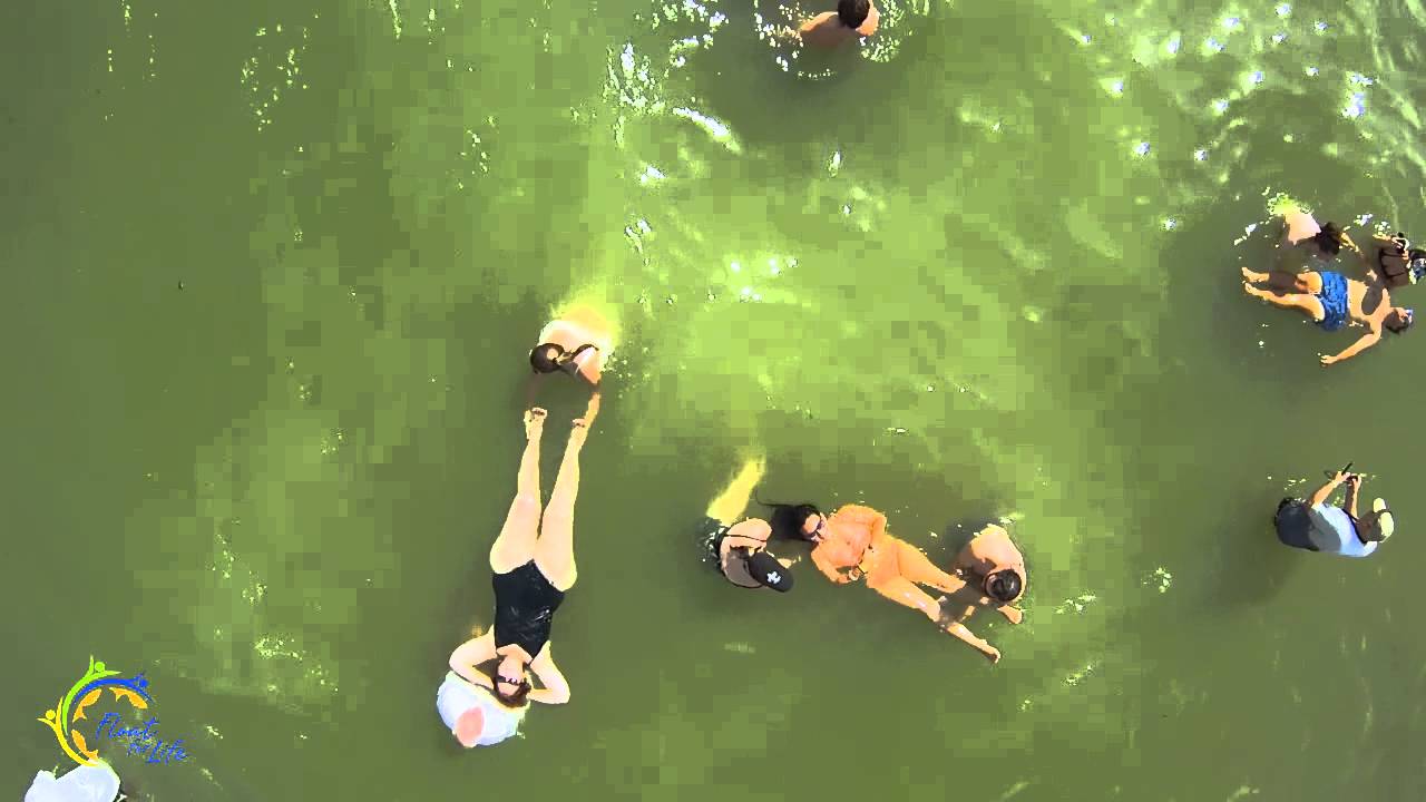 Float For Life Event 2015 - YouTube