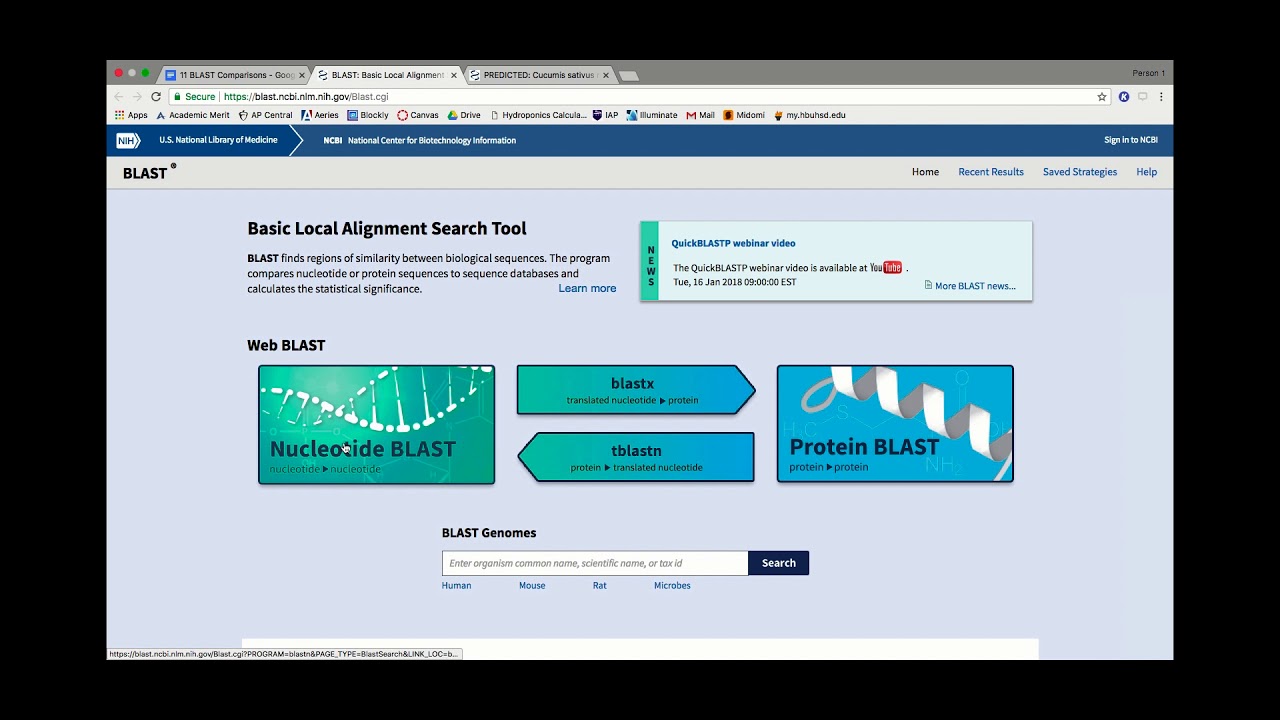 How to run a basic BLAST search - YouTube