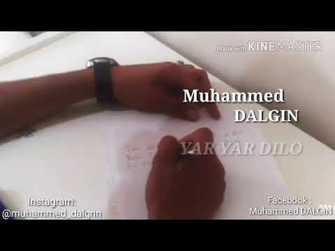 Muhammed DALGIN - YAR YAR DILO YENİ KLİP 2019