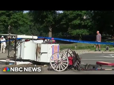 Horse carriage tragedy in NYC’s Central Park