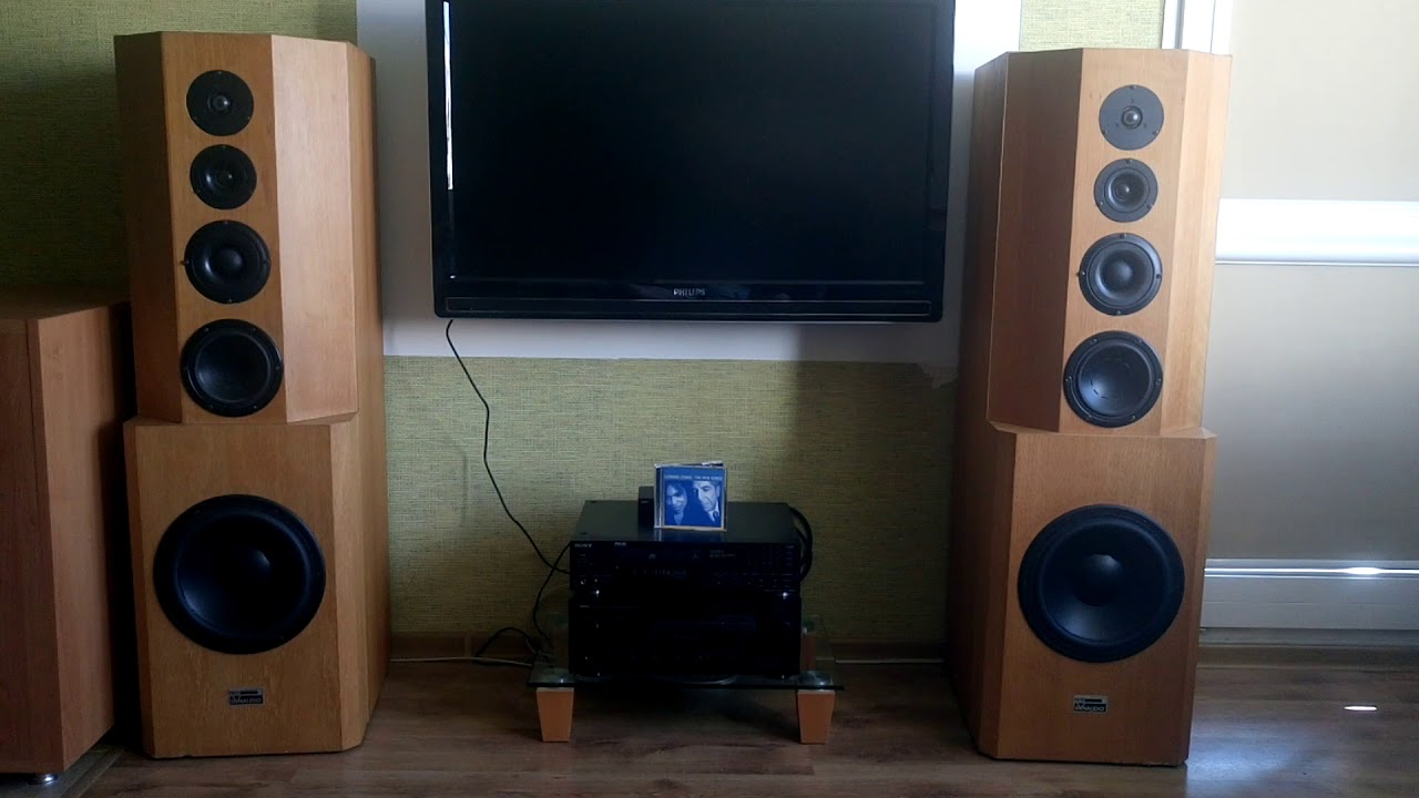 Dynaudio Axis 5 plays Leonard Cohen - YouTube