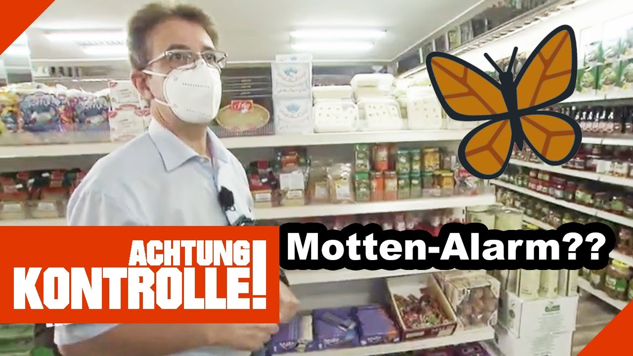 MOTTEN legen Eier im Essen? Lebensmittelladen unter der Lupe! |1/2 ...