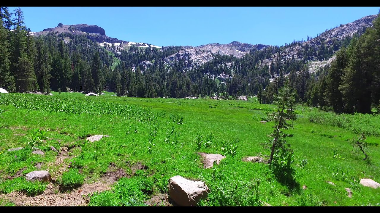 Pacific Valley-Ebbets Pass, California - YouTube