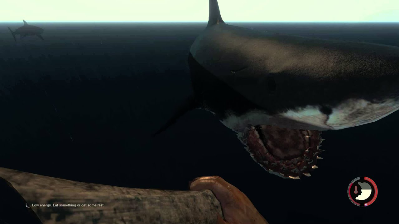 The Forest SHARK ATTACK!!! - YouTube