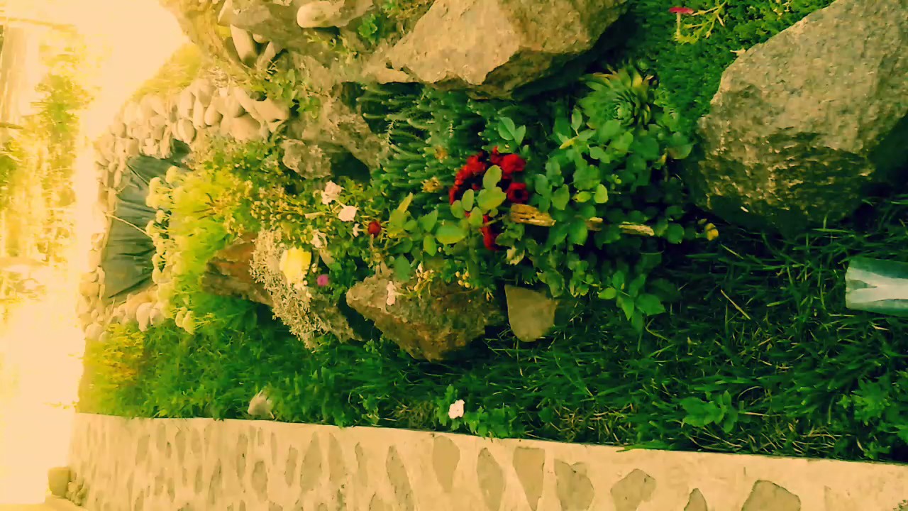 Poza random - YouTube