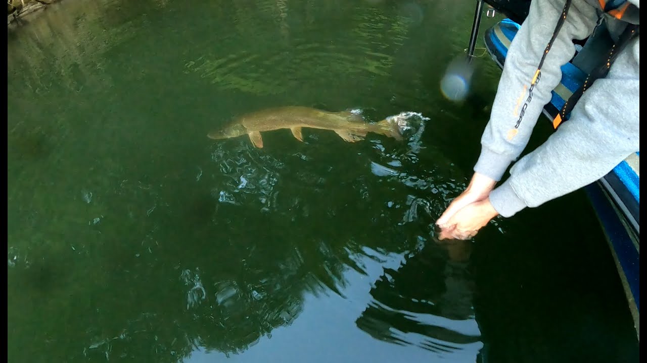 Fishing With Cameron ! Back To Being The Teacher !! 9 -1- 22 - YouTube