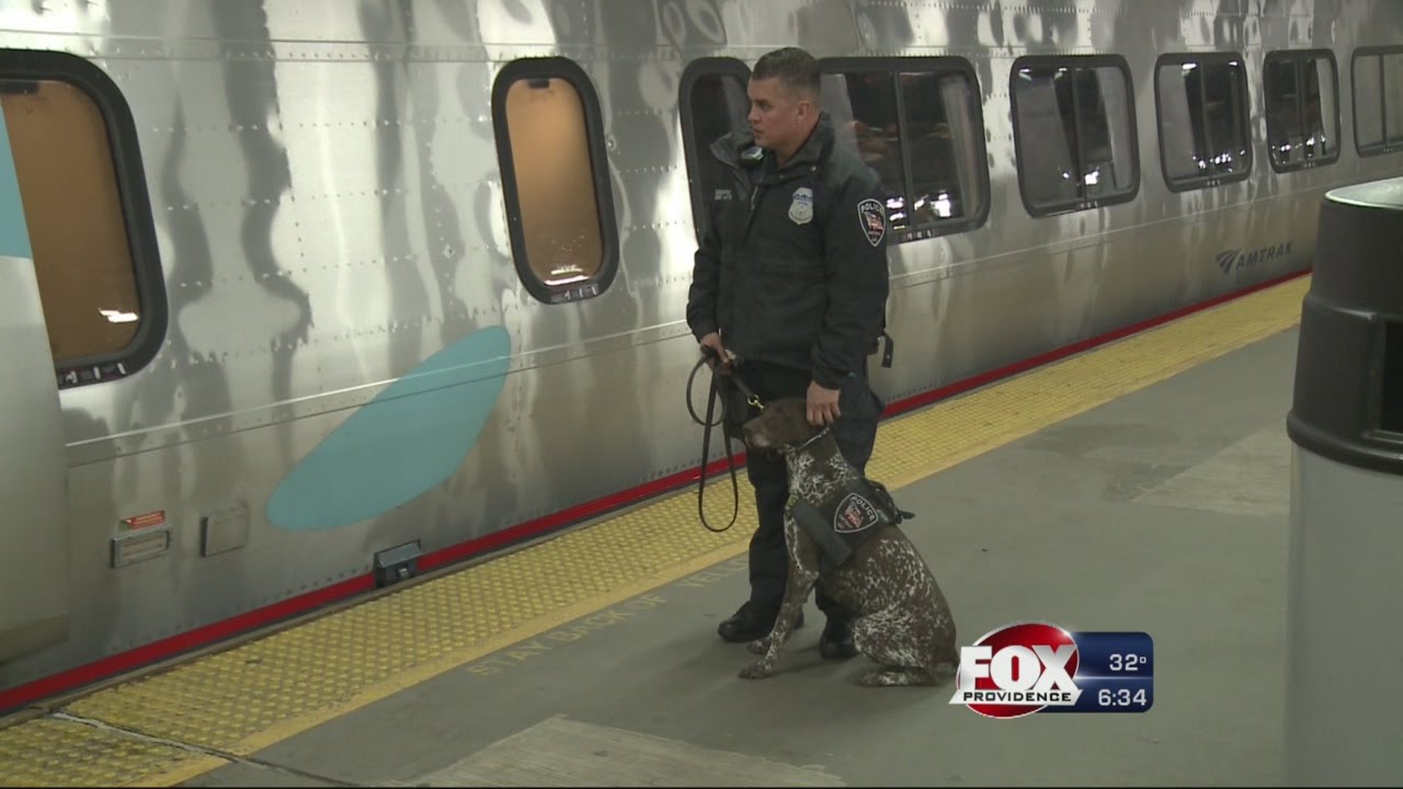 Amtrak Ups Security in Wake of Terror Attacks - YouTube