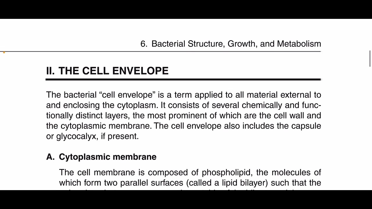 پەردەی خانەی بەکتریا cell envelope - YouTube