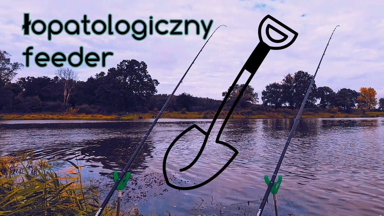 Feeder w najczystszej postaci na uregulowanej rzece Odrze. - YouTube